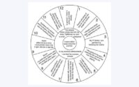 How to Use a Focus Wheel to Manifest Results Faster (Step-by-Step Guide ...