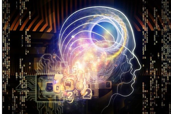 The Map of Consciousness: Understand Yourself and Others