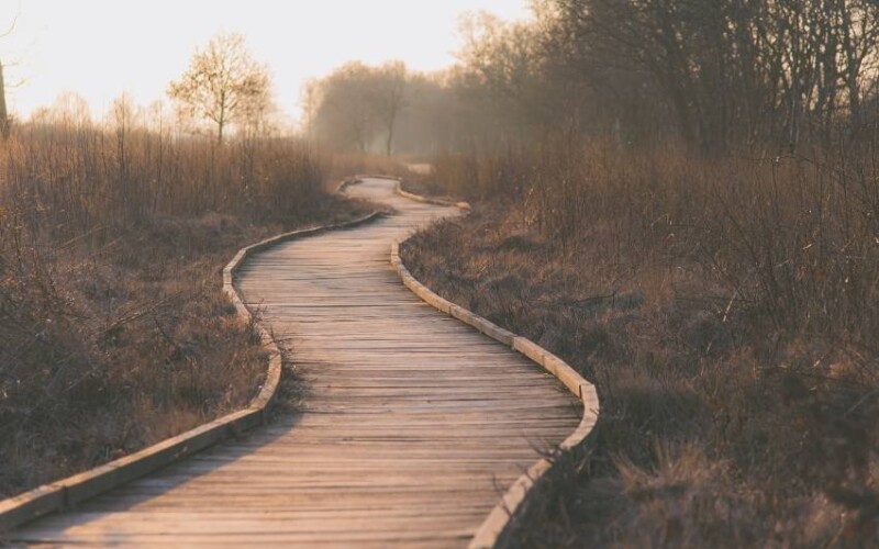 10 Signs from The Universe That You Are on The Wrong Path