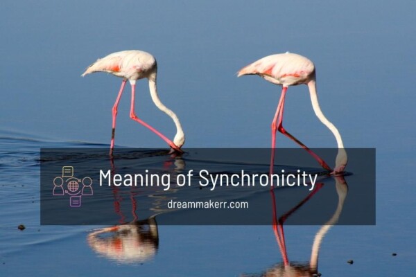 What is the Meaning of Synchronicity in Your Life? - DreamMaker