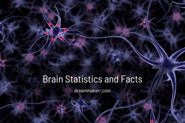 77 Brain Statistics To Help Us Understand How We Function - DreamMaker