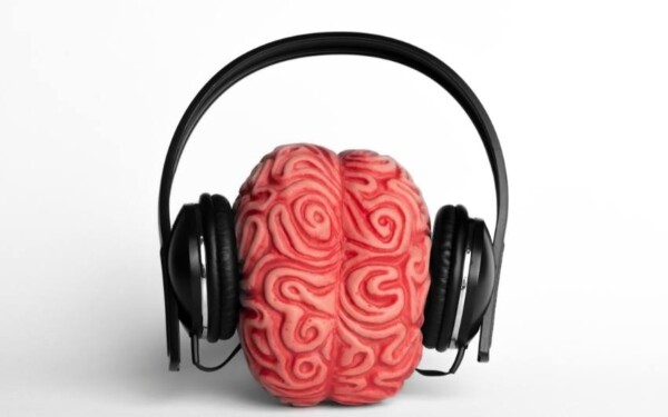 77 Brain Statistics To Help Us Understand How We Function - DreamMaker