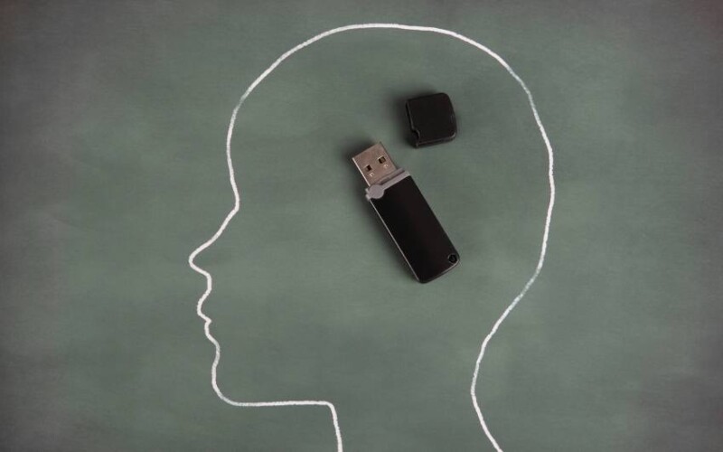 77 Brain Statistics To Help Us Understand How We Function - DreamMaker