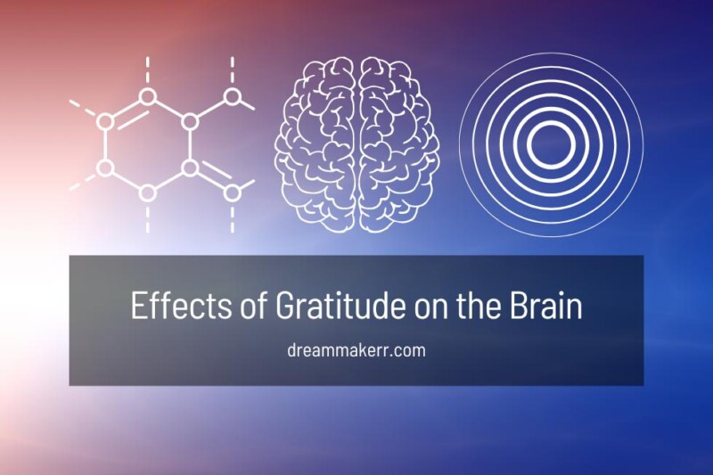 The Positive Effects of Gratitude on the Brain - DreamMaker